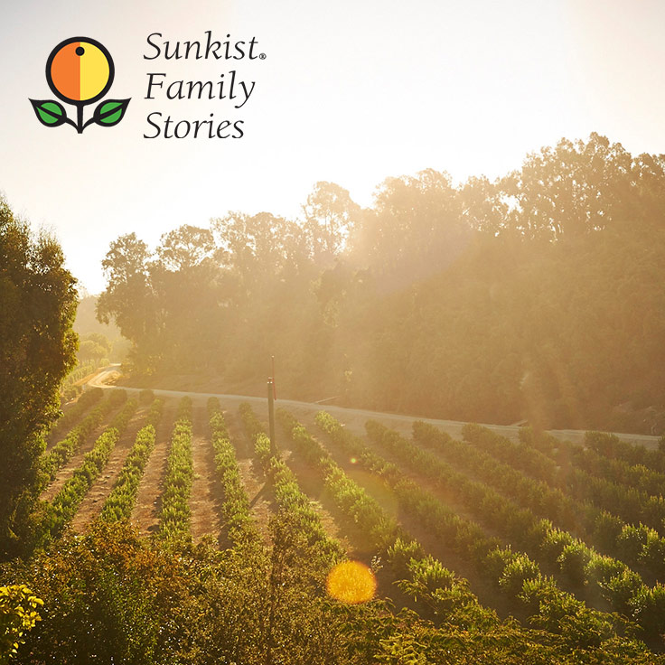 Sunkist Family Stories